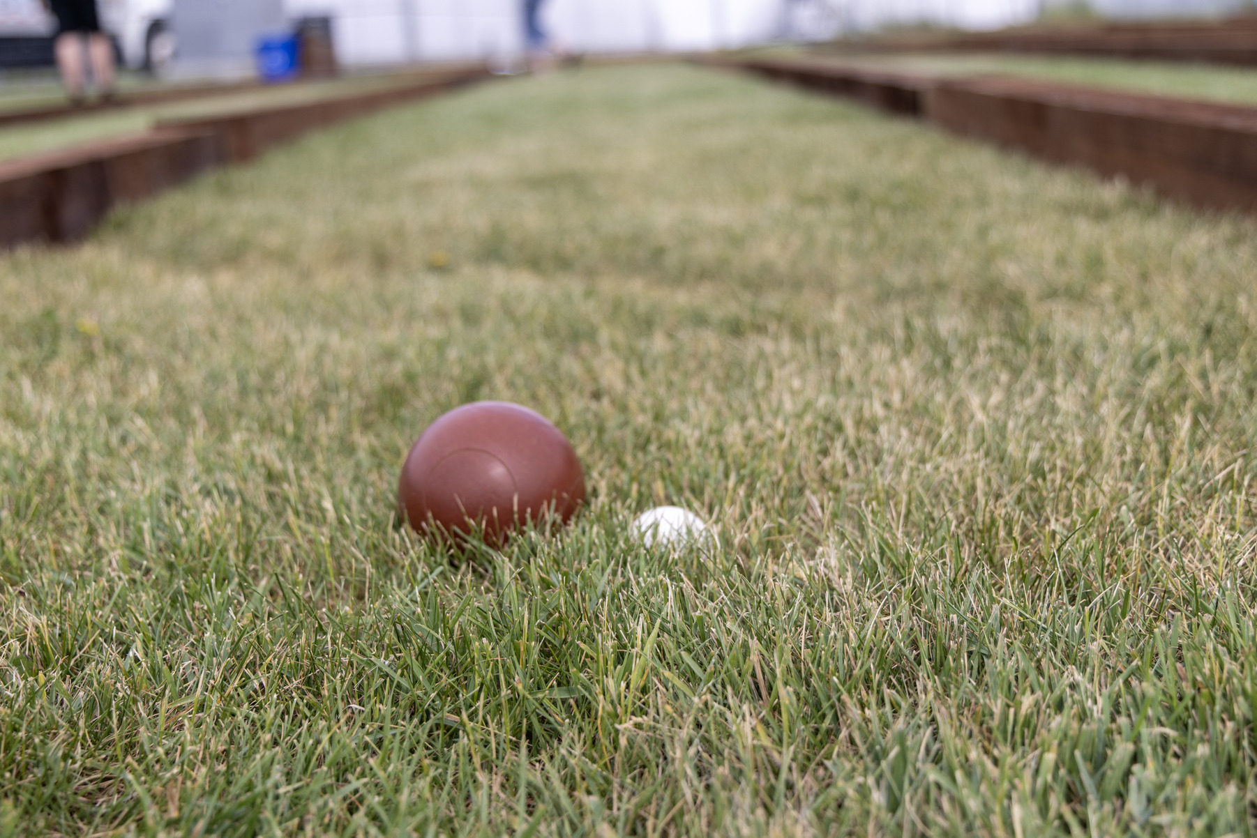 Terus Construction's SPIRIT OF THE BALLS BOCCE TOURNAMENT Friday Night ...
